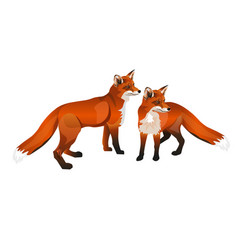 Red fox set Royalty Free Vector Image - VectorStock