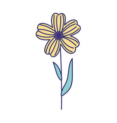 Flower decoration spring season floral icon Vector Image