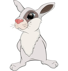 Cartoon white rabbit Royalty Free Vector Image