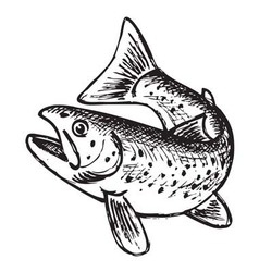 Trout Vector Images (over 9,100)