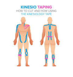 Kinesiology taping on face Royalty Free Vector Image