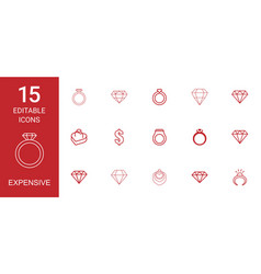 13 expensive icons Royalty Free Vector Image - VectorStock