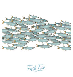 Fish Royalty Free Vector Image - VectorStock