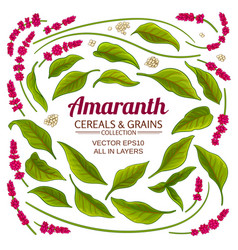Amaranth Vector Images (over 520)