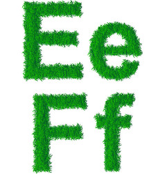 Desert alphabet letter e colorful template Vector Image