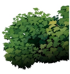 Green cartoon shrub Royalty Free Vector Image - VectorStock