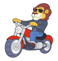 Lion Rider Vector Images (94)