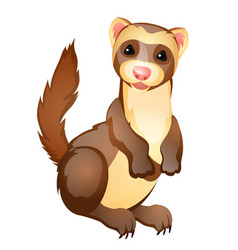 Cartoon ferret Royalty Free Vector Image - VectorStock