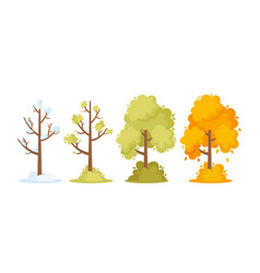 Four seasons concept art tree for your design Vector Image