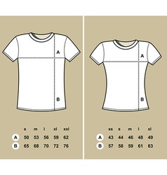 T-Shirt Sizes Royalty Free Vector Image - VectorStock