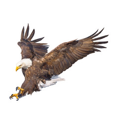 Swoop Vector Images (over 740)