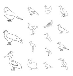 Types birds outline icons in set collection Vector Image