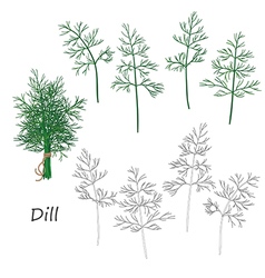 Dill Vector Images (over 5,900)