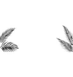 Tropical elements design template panoramic Vector Image