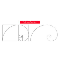 Golden proportions set golden section ration Vector Image