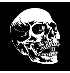 Death image 002 Royalty Free Vector Image - VectorStock