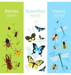 Insects icons set Royalty Free Vector Image - VectorStock