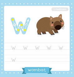Letter w uppercase and lowercase tracing practice Vector Image