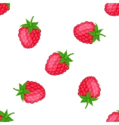 Raspberries pattern Royalty Free Vector Image - VectorStock