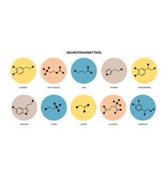 Chemical formulas of neurotransmitters Royalty Free Vector