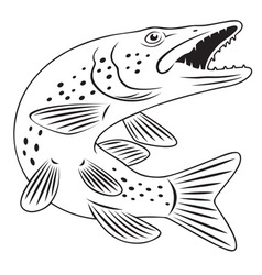 Prehistoric fish Royalty Free Vector Image - VectorStock