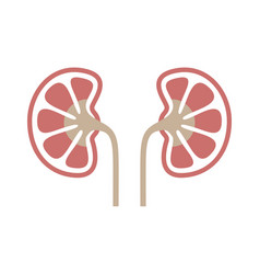 Kidney Logos Vector Images (over 2,900)