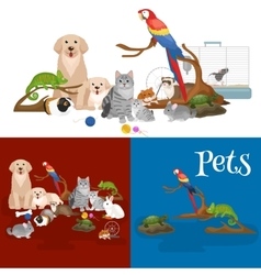 Home pets set cat dog parrot goldfish hamster Vector Image