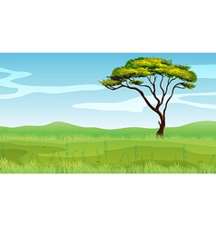 Cartoon Scenery Plain Vector Images (over 260)