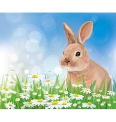 Spring background flowers Royalty Free Vector Image