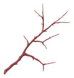 Dry branch Royalty Free Vector Image - VectorStock