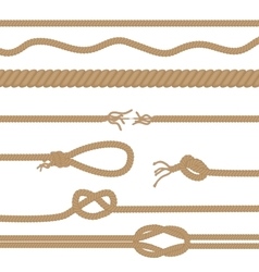 Realistic 3d detailed thickness rope line set Vector Image