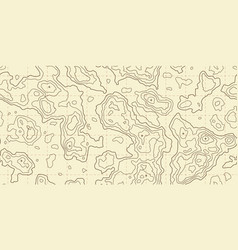 Seamless topographic map background white Vector Image