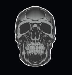 Screaming skulls Royalty Free Vector Image - VectorStock