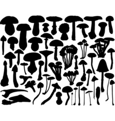 Fungi Vector Images (over 8,000)