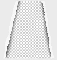 Torn snatched window in sheet white paper Vector Image