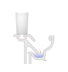 Technical drawing toilet design Royalty Free Vector Image
