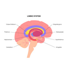 System Vector Images (over 660,000)