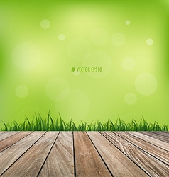 Natural background fresh spring green grass Vector Image