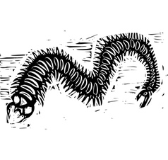 Centipede Vector Images (over 1,400)