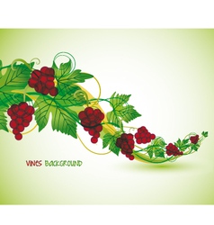 Grapevine growth infographic elements isolated Vector Image