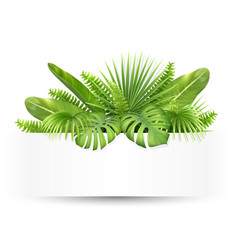 Square card with tropical leaves Royalty Free Vector Image