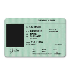 Drivers licenses symbols Royalty Free Vector Image