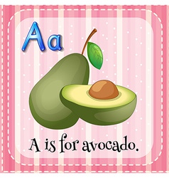Fruits alphabet a is for avocado Royalty Free Vector Image