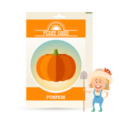 Pumpkin seeds Royalty Free Vector Image - VectorStock