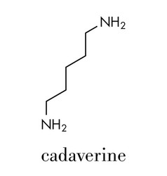 Cadaverine foul smelling molecule skeletal formula