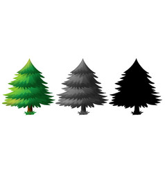 Set of pine tree Royalty Free Vector Image - VectorStock