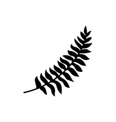 Silver Fern Vector Images (over 100)