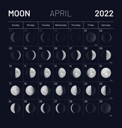 Moon phase calendar 2022 year month cycle planner Vector Image