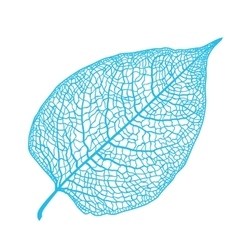 Skeletonized leaf on a black background Royalty Free Vector
