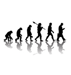 Silhouette of theory of evolution of man Vector Image